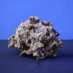 20lb live rock mix – Bommie Reef Live Rock For Sale